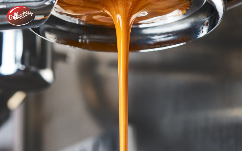 3 yếu tố ảnh hưởng đến chiết xuất cà phê Espresso hoàn hảo