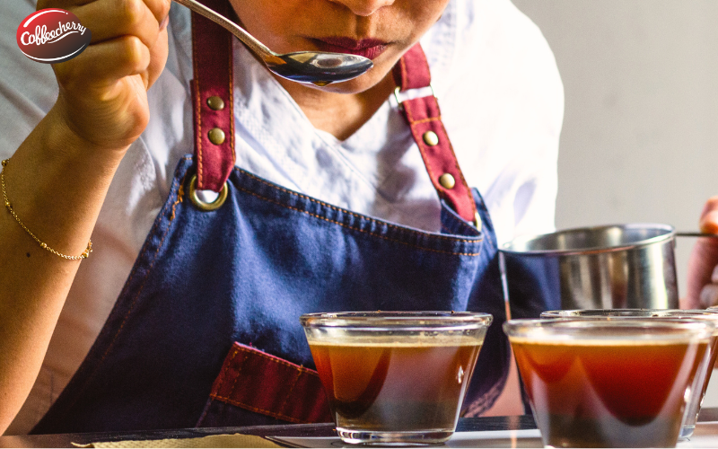 Hương vị cà phê đến từ đâu? Khám phá khoa học cảm quan trong Specialty ...